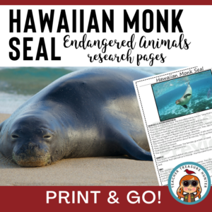 Hawaiian Monk Seal Endangered Animal information page for animal ...