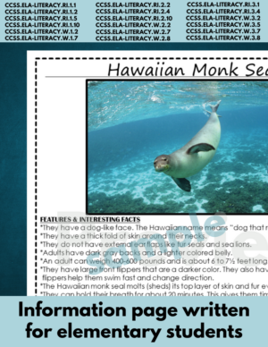 Hawaiian Monk Seal Endangered Animal information page for animal ...