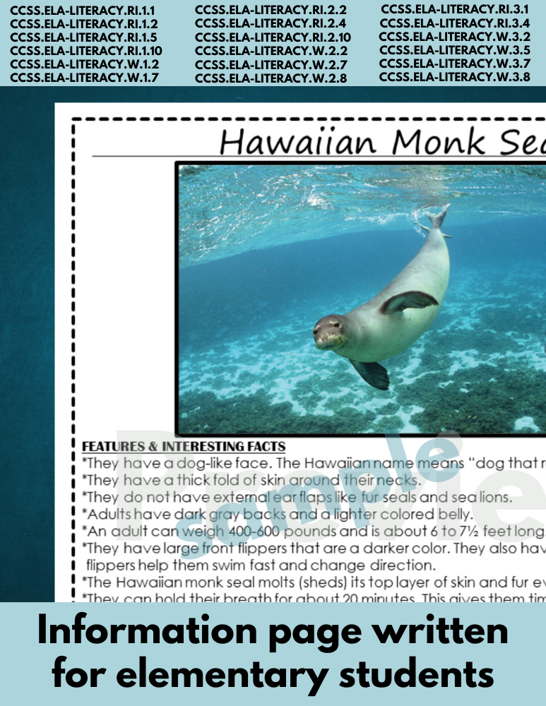 Hawaiian Monk Seal Endangered Animal information page for animal ...