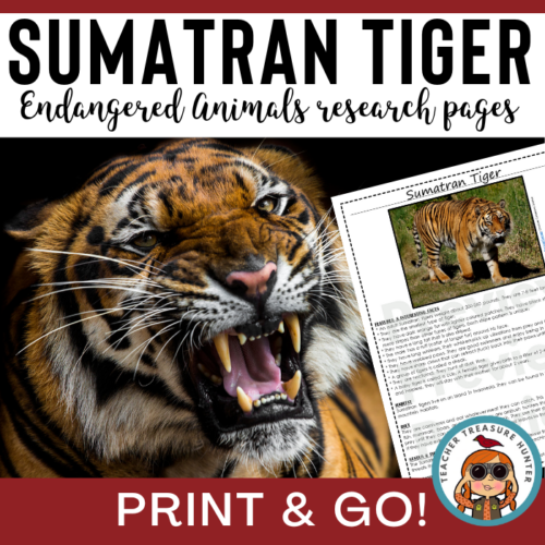 Tiger research Endangered Animal report | Sumatran Tiger information ...