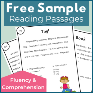 Free Phonics Reading Passages for Fluency and Comprehension Sampler ...