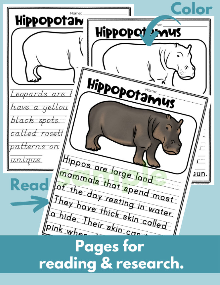 Hippo African Savanna habitat Hippopotamus Facts Read Write Color ...