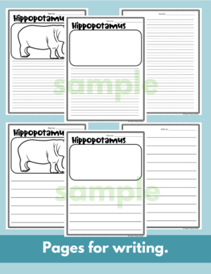 Hippo African Savanna habitat Hippopotamus Facts Read Write Color ...
