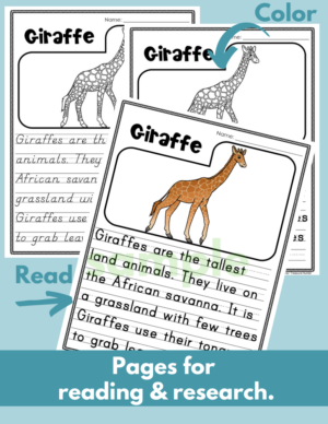 Giraffe African Savanna habitat Read Write Color activity for K, 1st ...