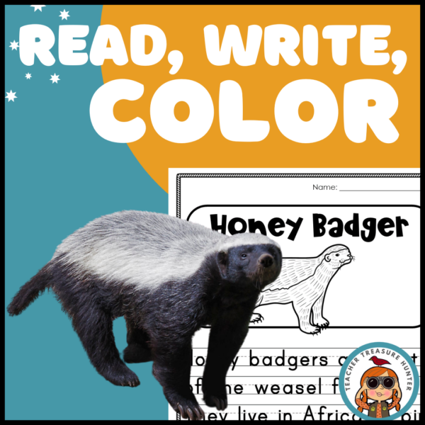 Honey Badger African Animal reading and writing activity READ WRITE ...