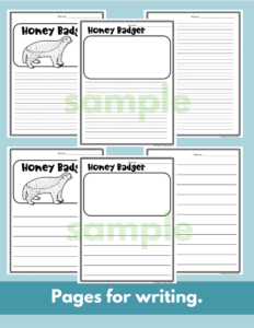 Honey Badger African Animal reading and writing activity READ WRITE ...