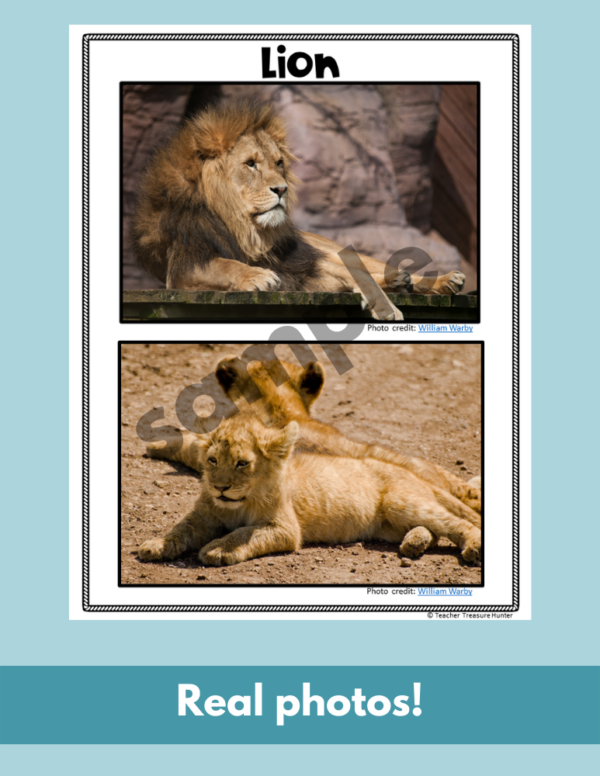 LION African Animal reading and writing activity READ WRITE COLOR ...
