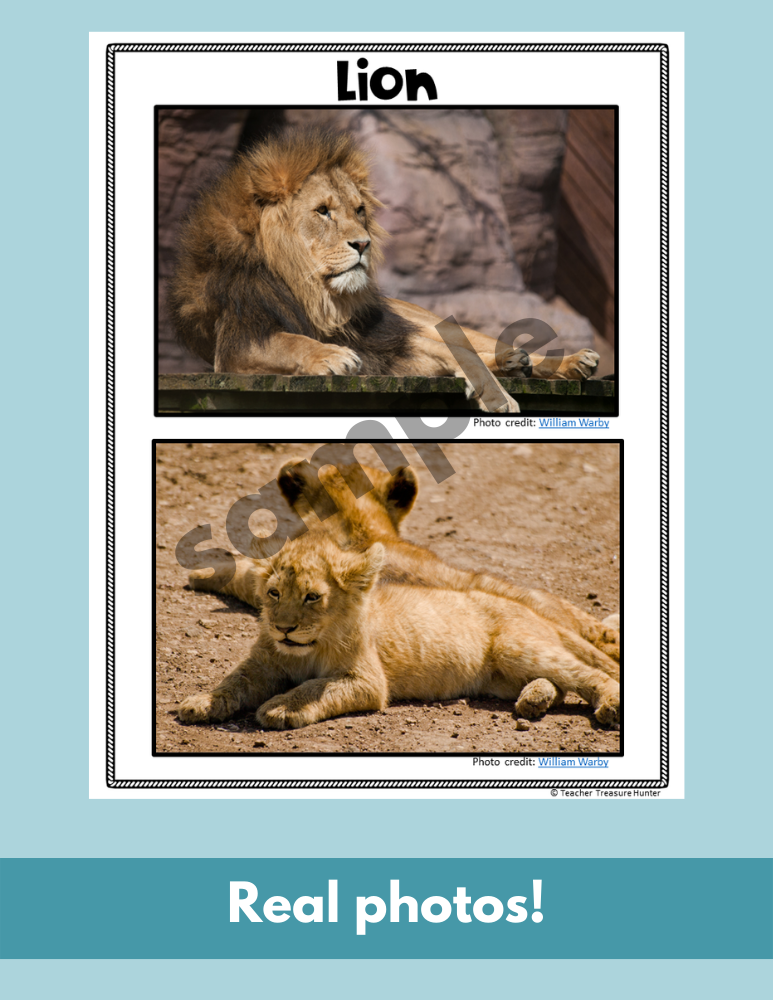 LION African Animal reading and writing activity READ WRITE COLOR ...