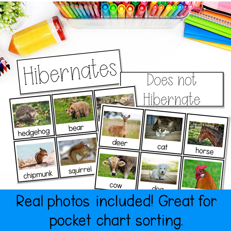 Hibernation Animal Sort Center Activity for Preschool & Kindergarten | Made By Teachers
