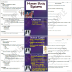 Human Body Systems Bundle | Made By Teachers