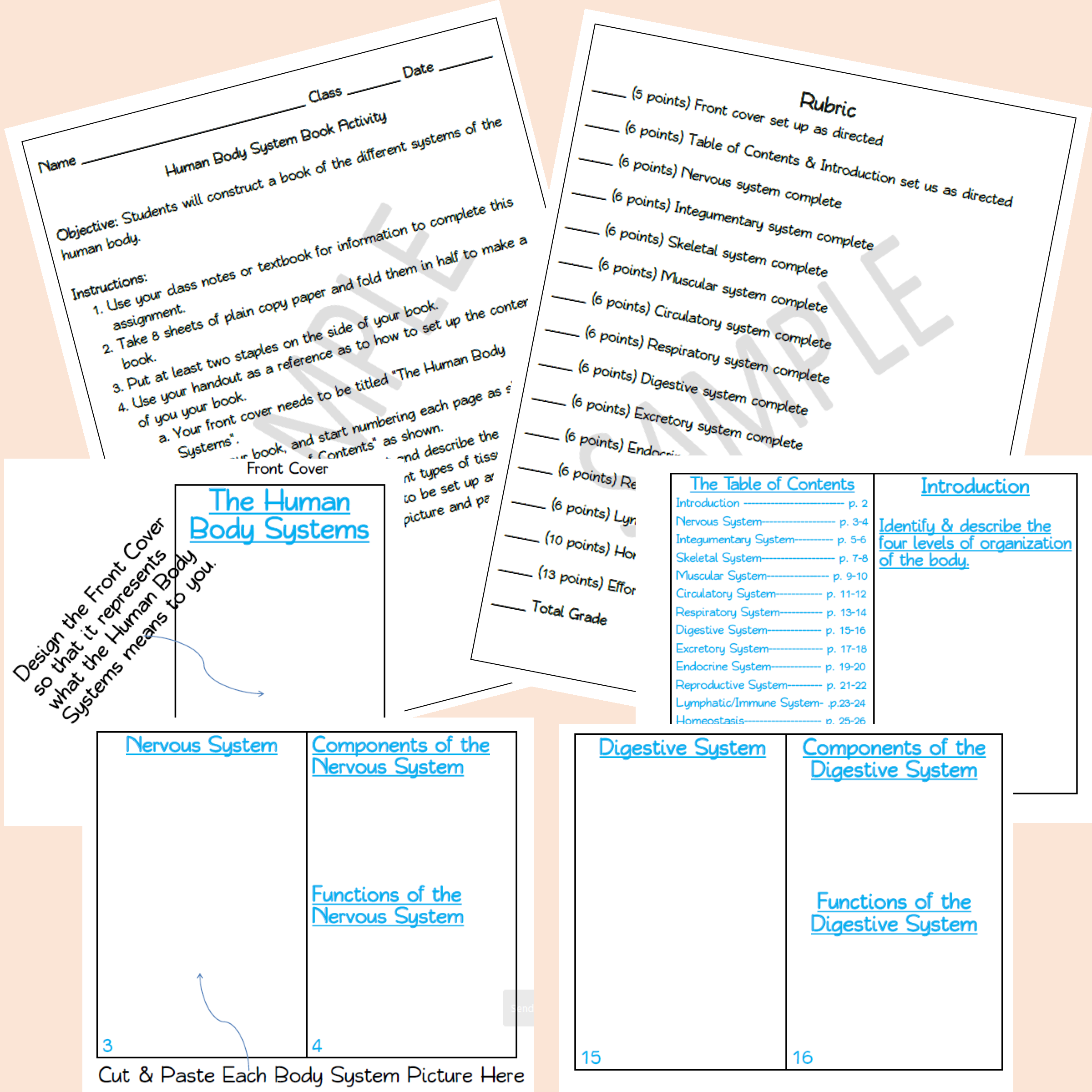 Human Body Systems Bundle | Made By Teachers