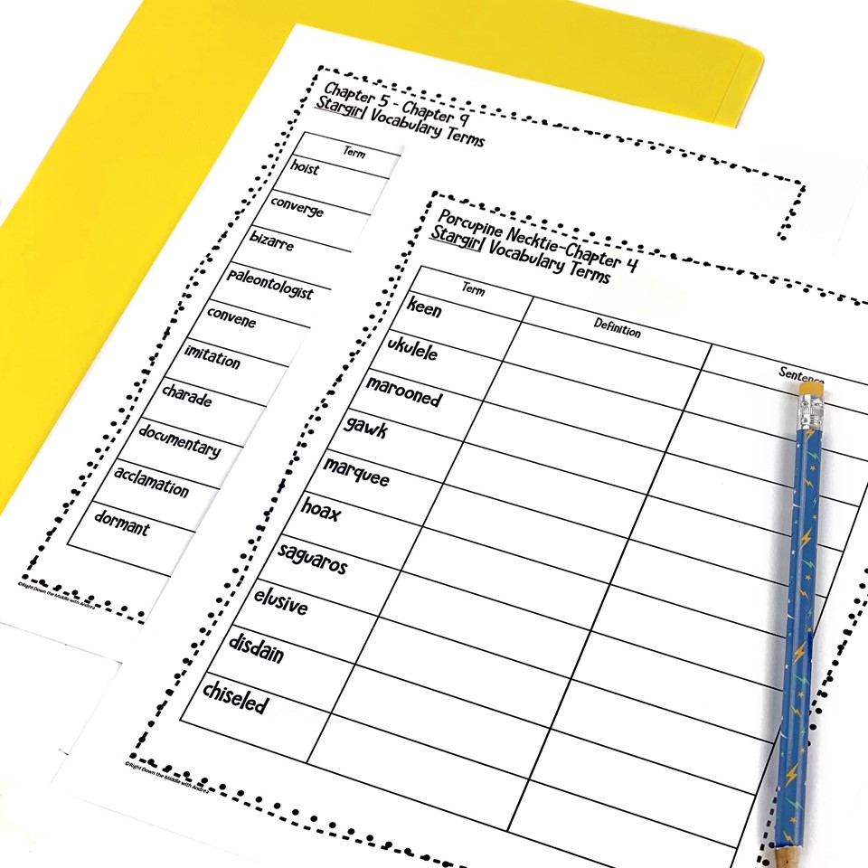 Stargirl Novel Study | Made By Teachers