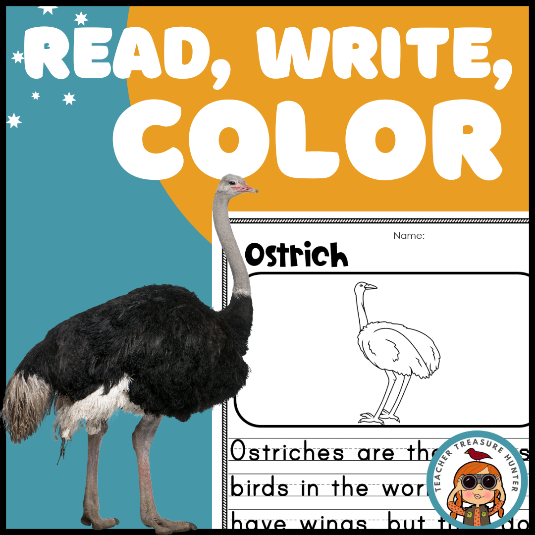 Ostrich Read Write Color African animal writing activity | Made By Teachers