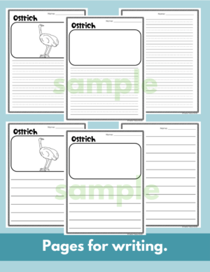 Ostrich Read Write Color African animal writing activity | Made By Teachers