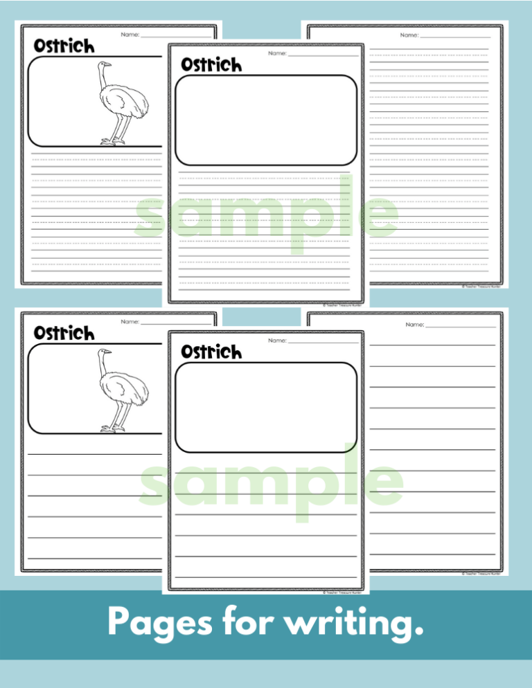Ostrich Read Write Color African animal writing activity | Made By Teachers