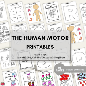 Human Motor Unit Plans | Theme | Lesson Plans | Activities | Printables ...