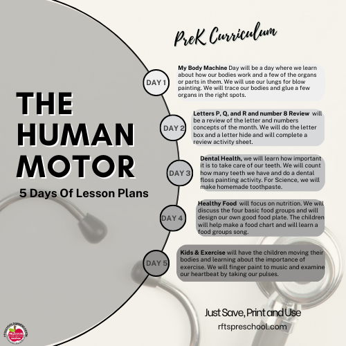 Human Motor Unit Plans | Theme | Lesson Plans | Activities | Printables ...