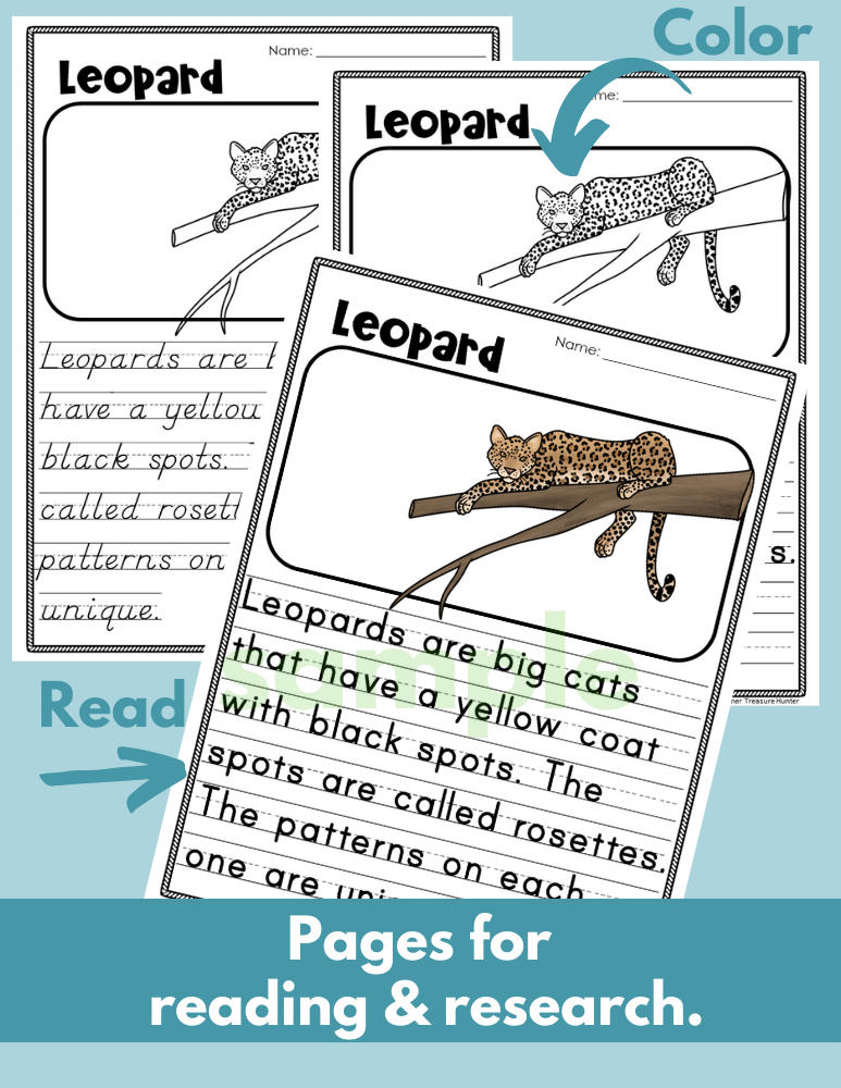 Leopard Read Write Color African animal writing activity for safari ...