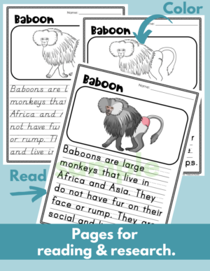 Baboon Read Write Color African animal writing activity for safari ...