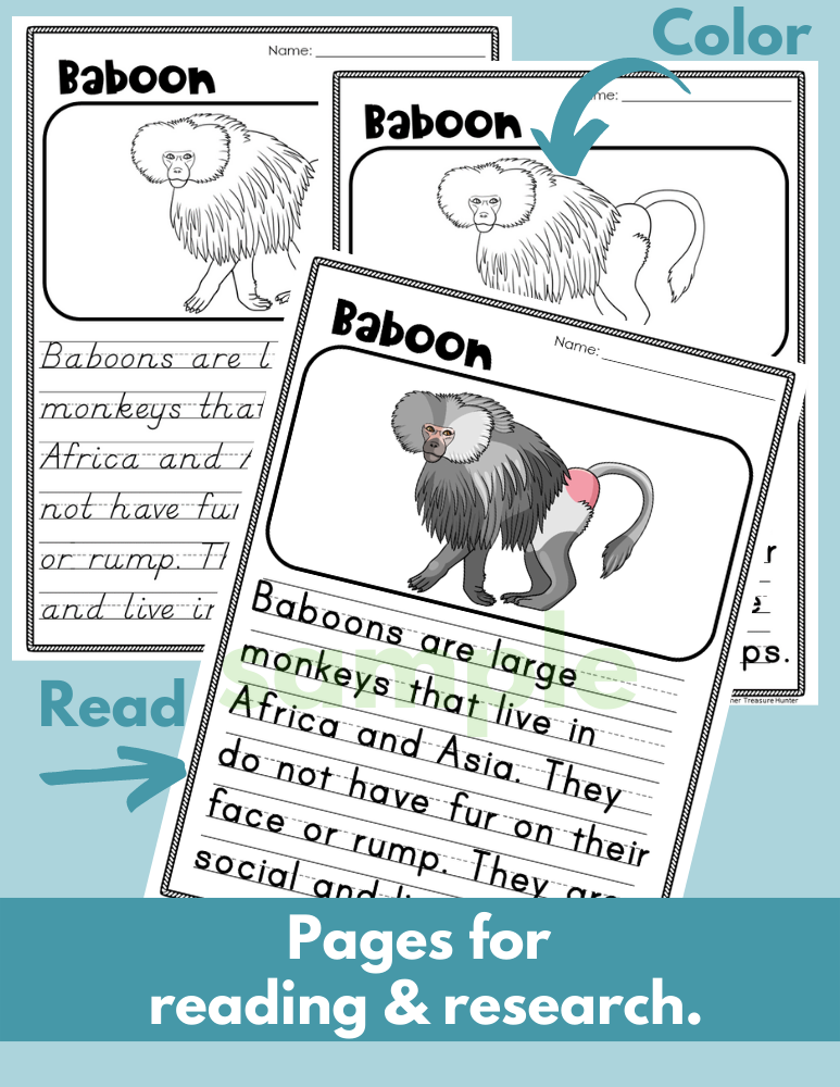 Baboon Read Write Color African animal writing activity for safari ...