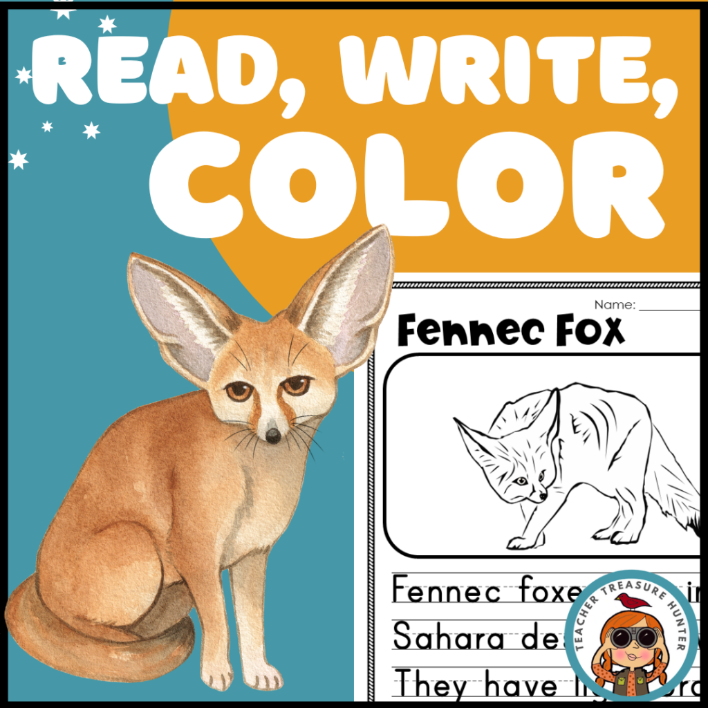 Fennec Fox Read Write Color resource for K 1st and 2nd | desert animal ...
