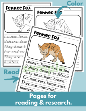 Fennec Fox Read Write Color resource for K 1st and 2nd | desert animal ...