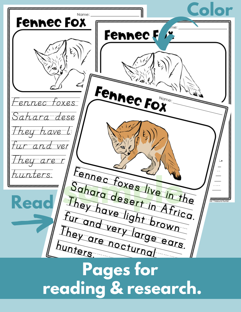 Fennec Fox Read Write Color resource for K 1st and 2nd | desert animal ...