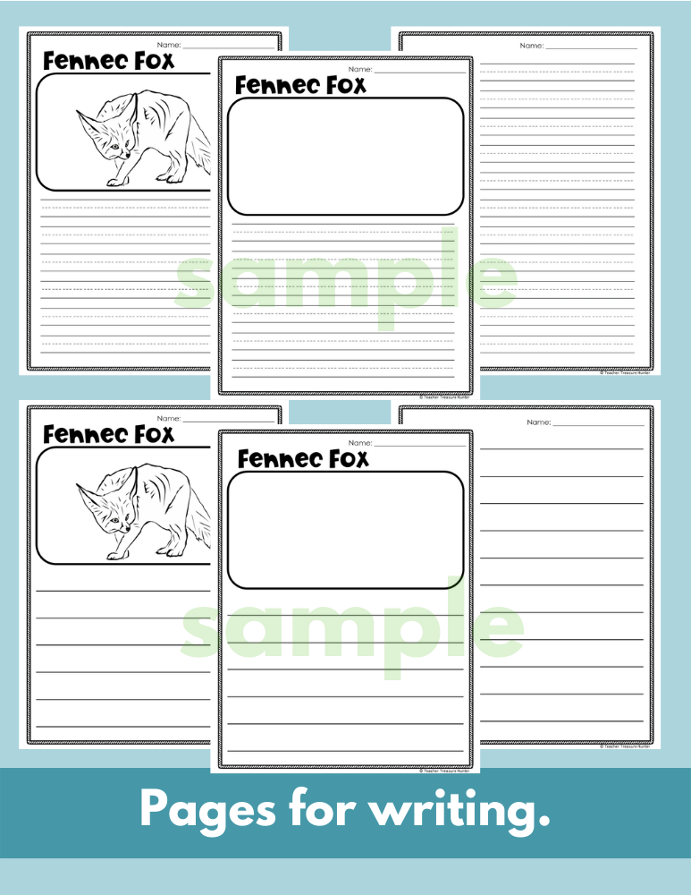 Fennec Fox Read Write Color resource for K 1st and 2nd | desert animal ...