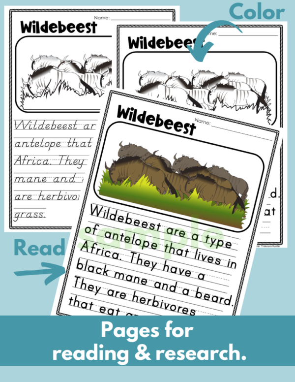 Wildebeest Read Write Color African animal writing for kindergarten 1st ...