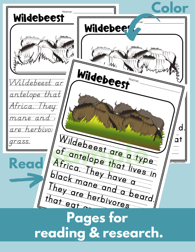 Wildebeest Read Write Color African animal writing for kindergarten 1st ...