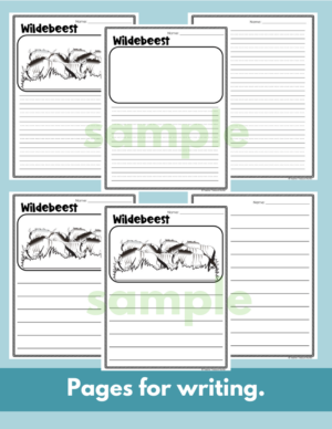 Wildebeest Read Write Color African animal writing for kindergarten 1st ...