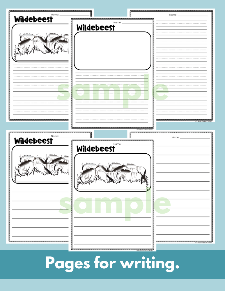 Wildebeest Read Write Color African animal writing for kindergarten 1st ...