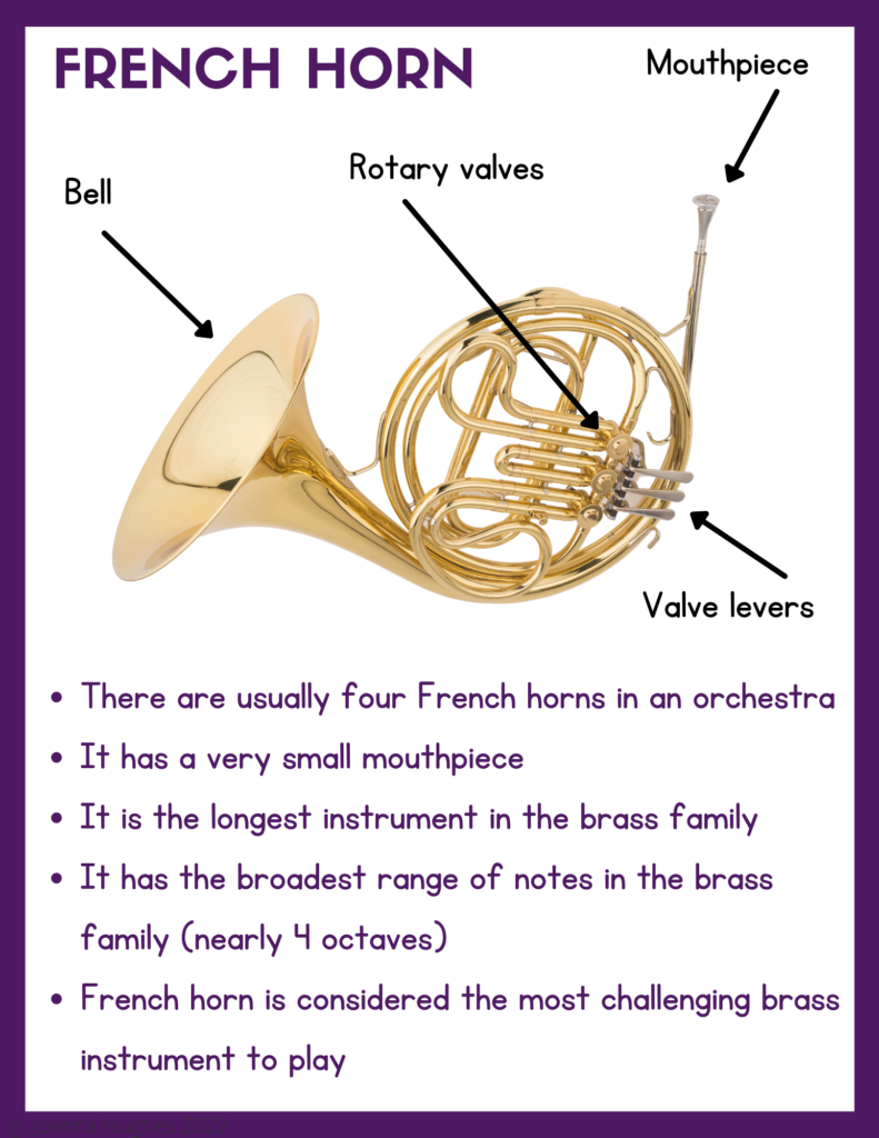 Meet the Instrument Families Packet (No-Prep, Print and Go, Elementary ...