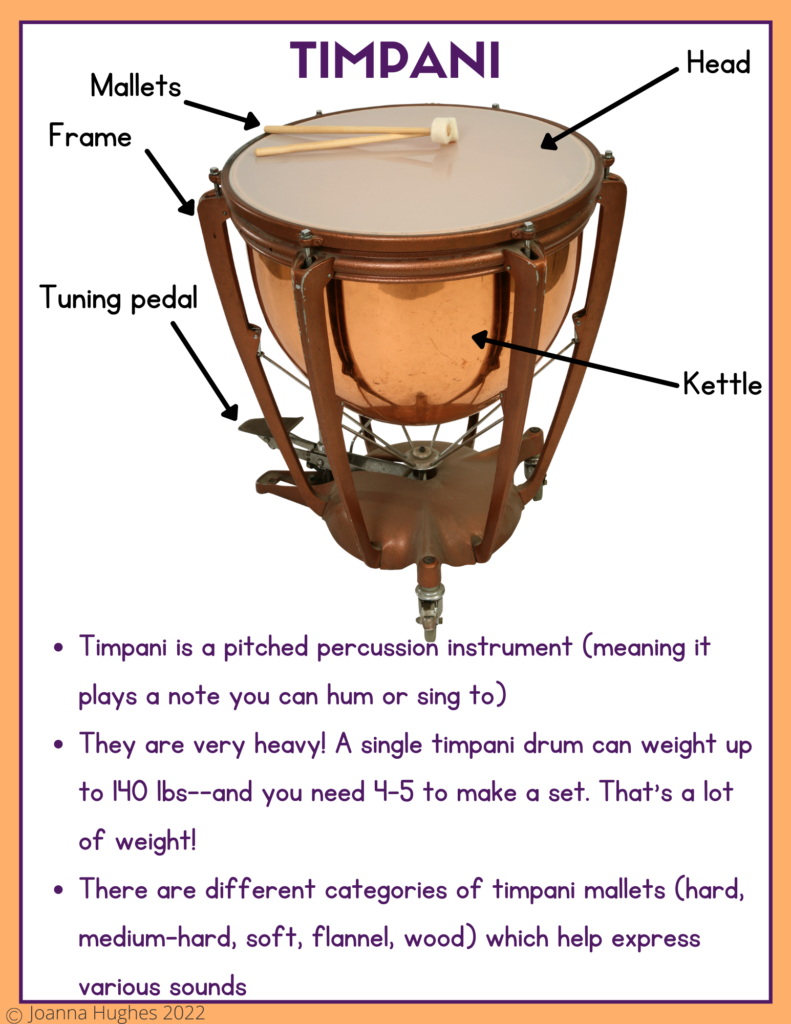 Meet the Instrument Families Packet (No-Prep, Print and Go, Elementary ...
