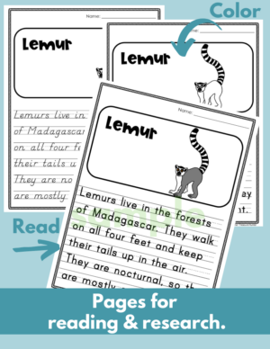 LEMUR Read Write Color activity for K, 1st, 2nd grade African Animals ...