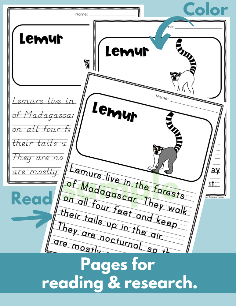LEMUR Read Write Color activity for K, 1st, 2nd grade African Animals ...