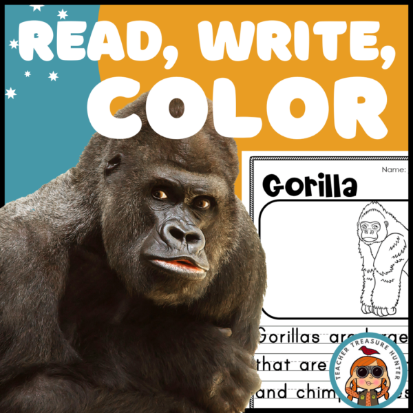 Gorilla facts Read Write Color African animal activity | Made By Teachers