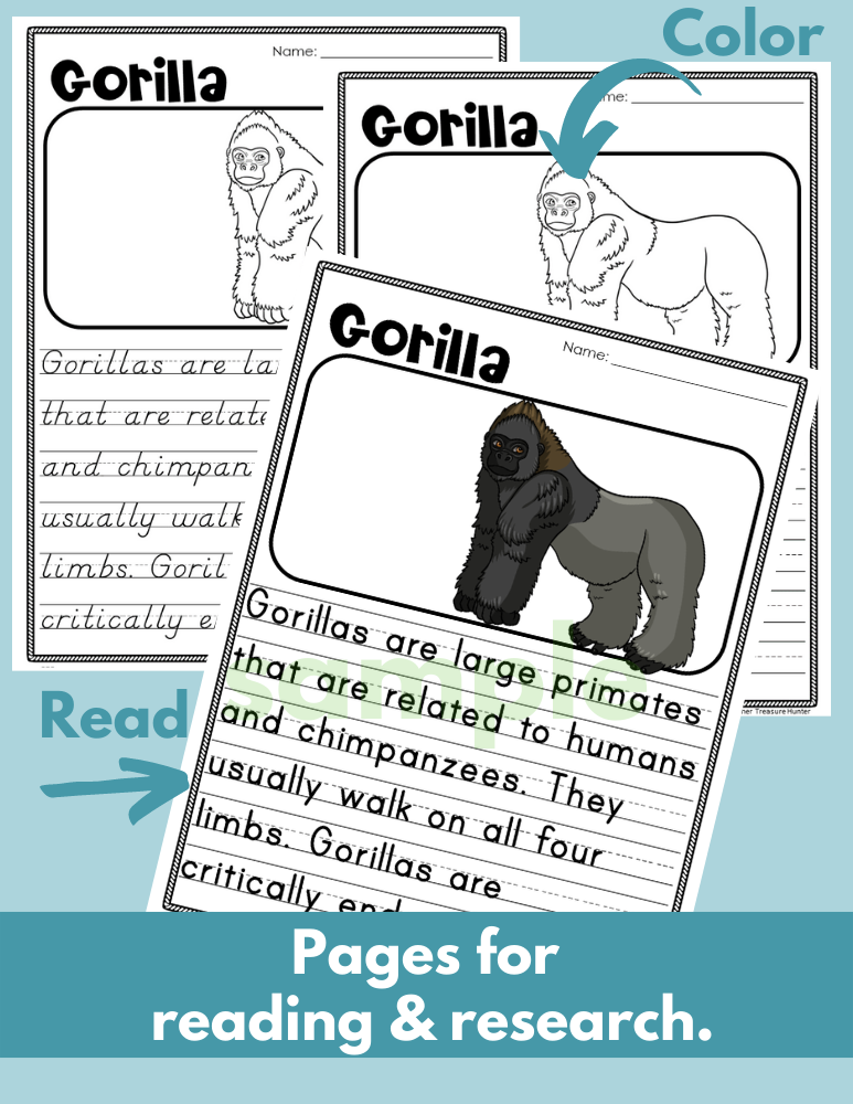 Gorilla facts Read Write Color African animal activity | Made By Teachers