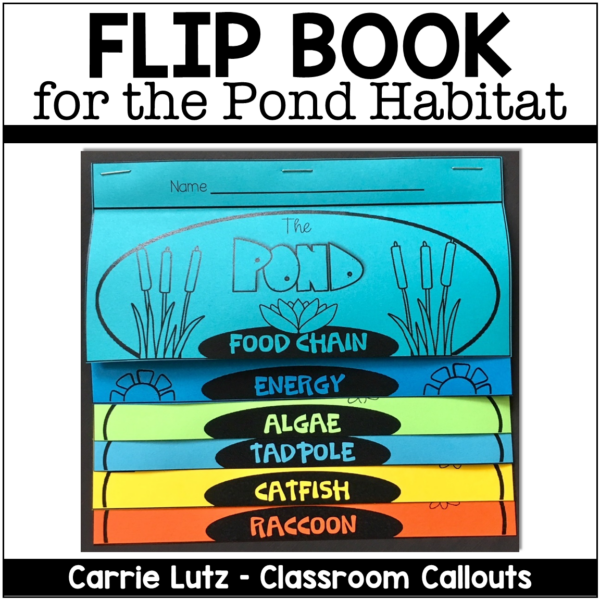 Food Chain Worksheets First Grade Science | Made By Teachers