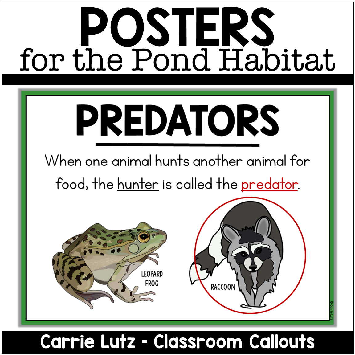 Food Chain Worksheets First Grade Science | Made By Teachers