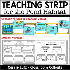 Food Chain Worksheets First Grade Science | Made By Teachers