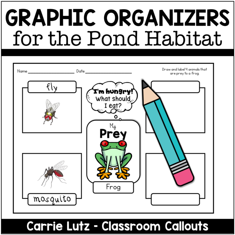 Food Chain Worksheets First Grade Science | Made By Teachers
