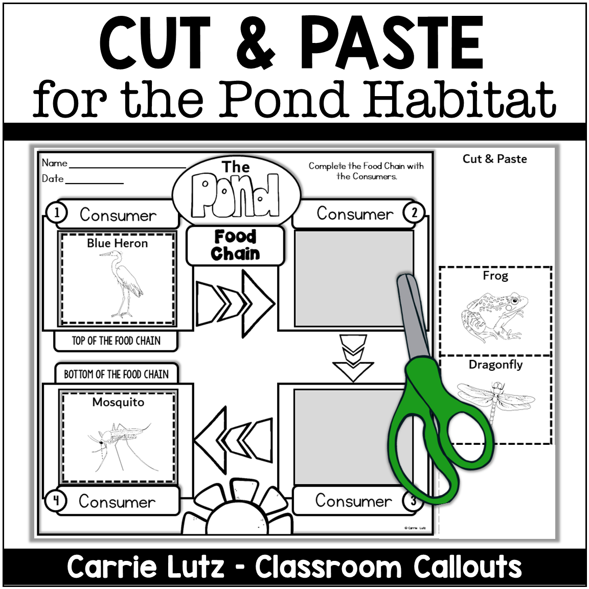 Food Chain Worksheets First Grade Science | Made By Teachers