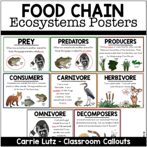 Food Chain Worksheets First Grade Science | Made By Teachers
