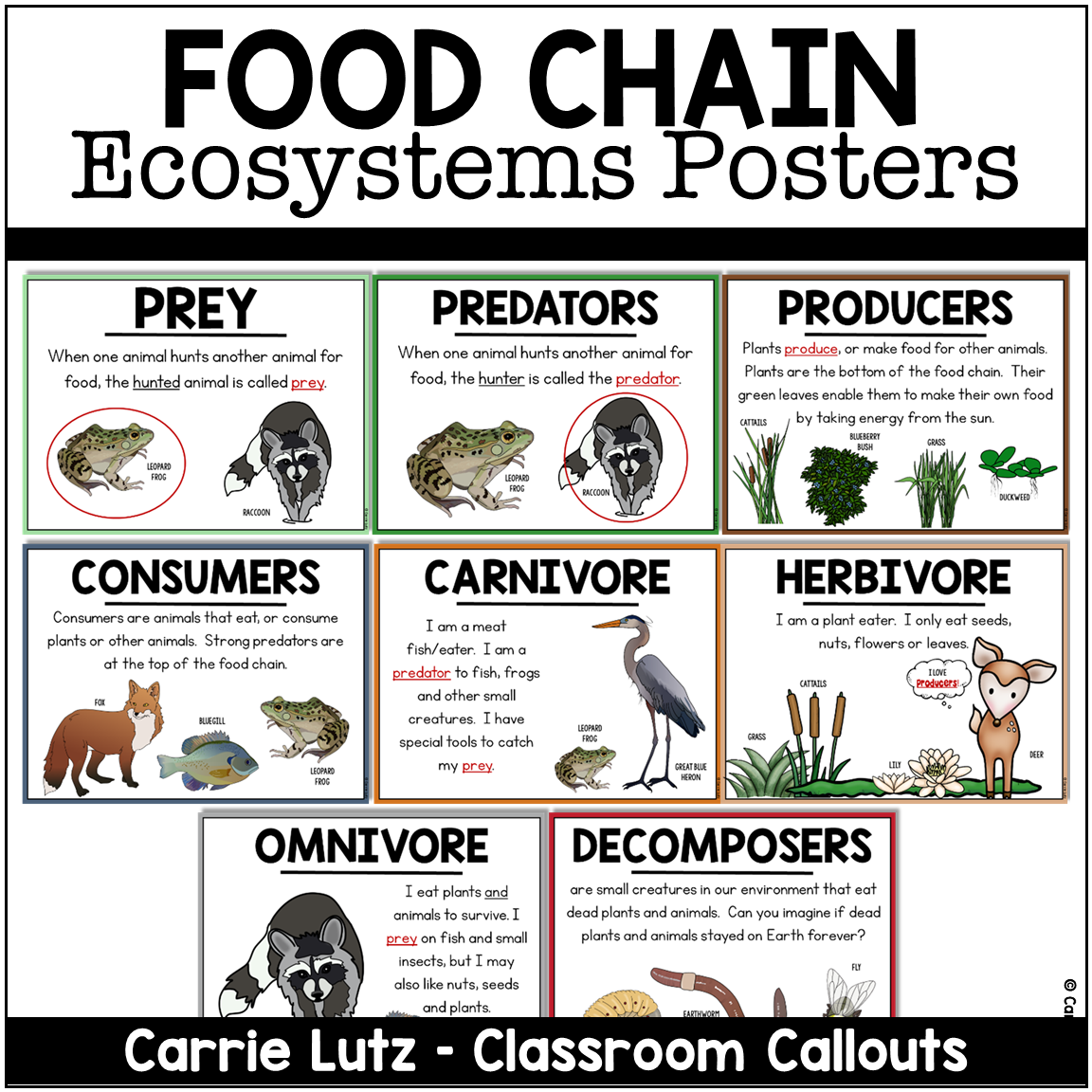 Food Chain Worksheets First Grade Science | Made By Teachers