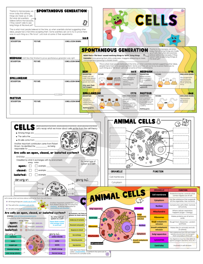 Biology Unit Pack (Alberta Science 10 Curriculum) | Made By Teachers