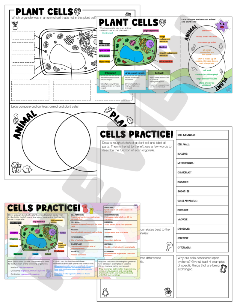 Biology Unit Pack (Alberta Science 10 Curriculum) | Made By Teachers