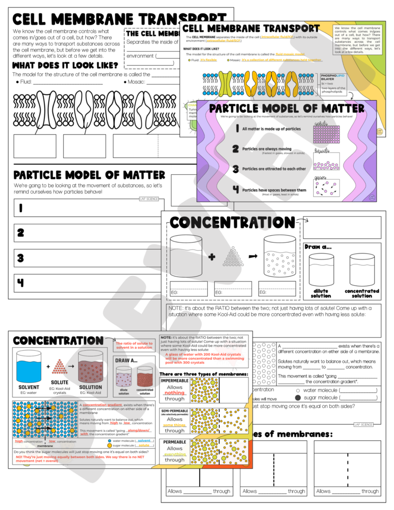 Biology Unit Pack (Alberta Science 10 Curriculum) | Made By Teachers