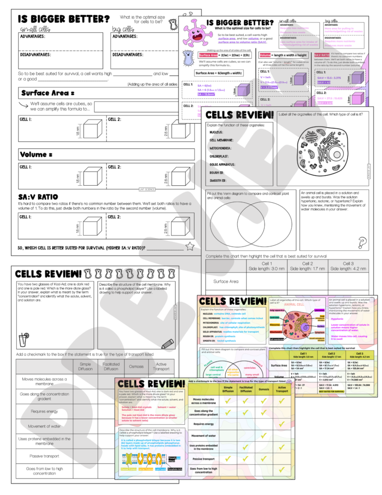 Biology Unit Pack (Alberta Science 10 Curriculum) | Made By Teachers