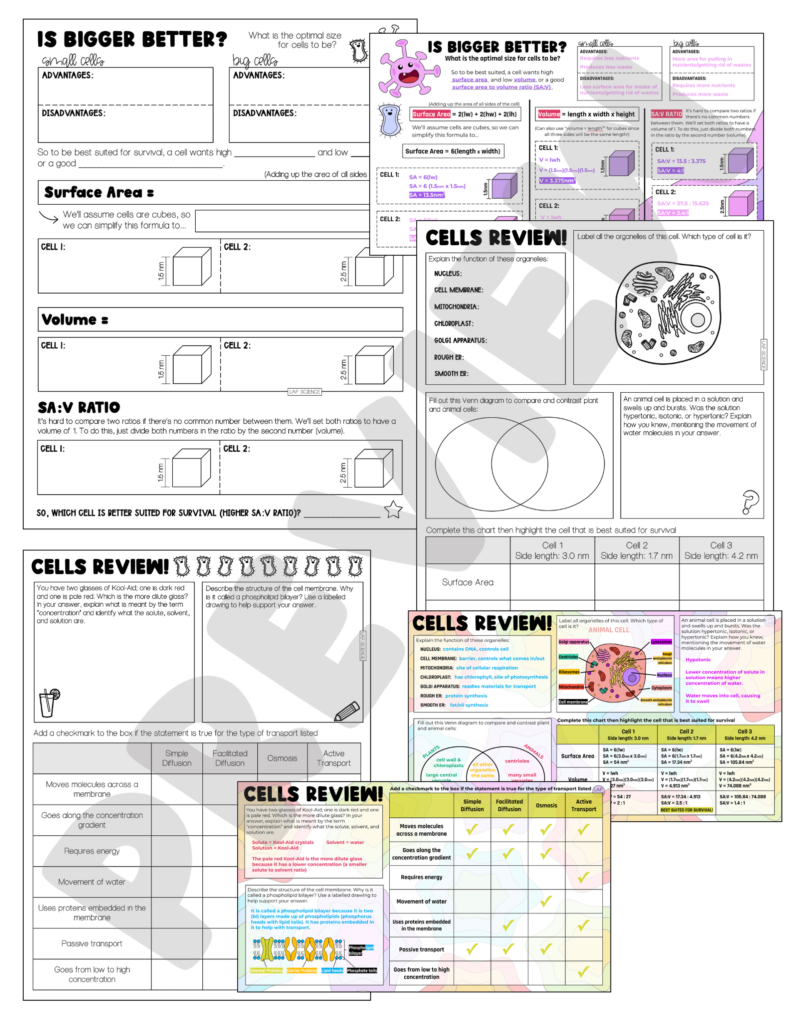 Biology Unit Pack (Alberta Science 10 Curriculum) | Made By Teachers